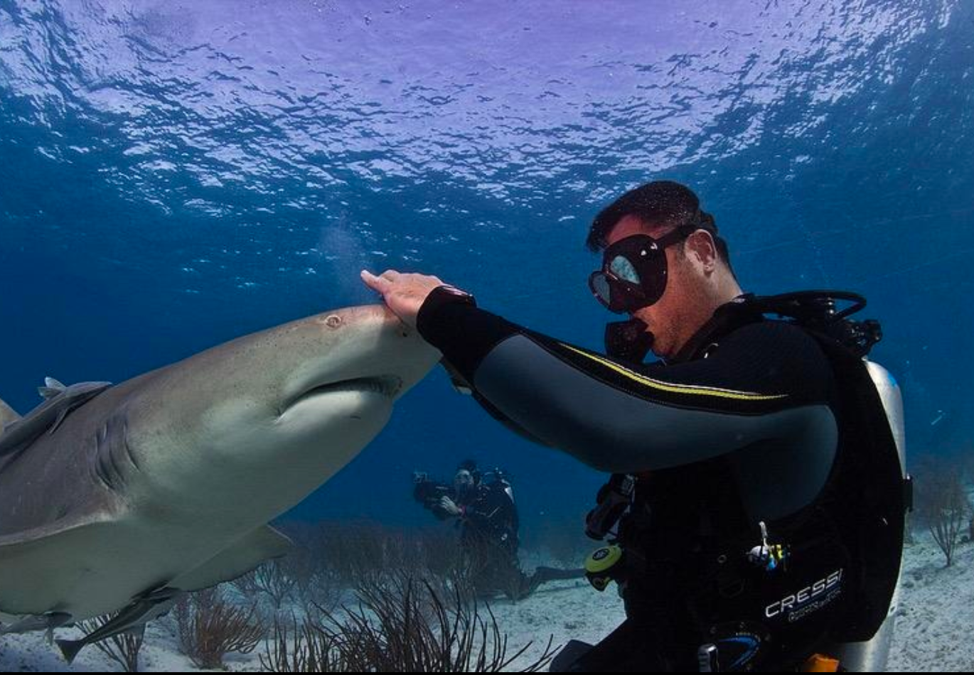 CONMIGO LOS TIBURONES ENTRAN EN TRANCE - KARLOS SIMÓN