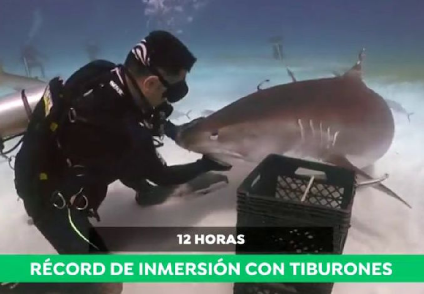 Karlos Simón: Tiburones y la inmovilidad tónica
